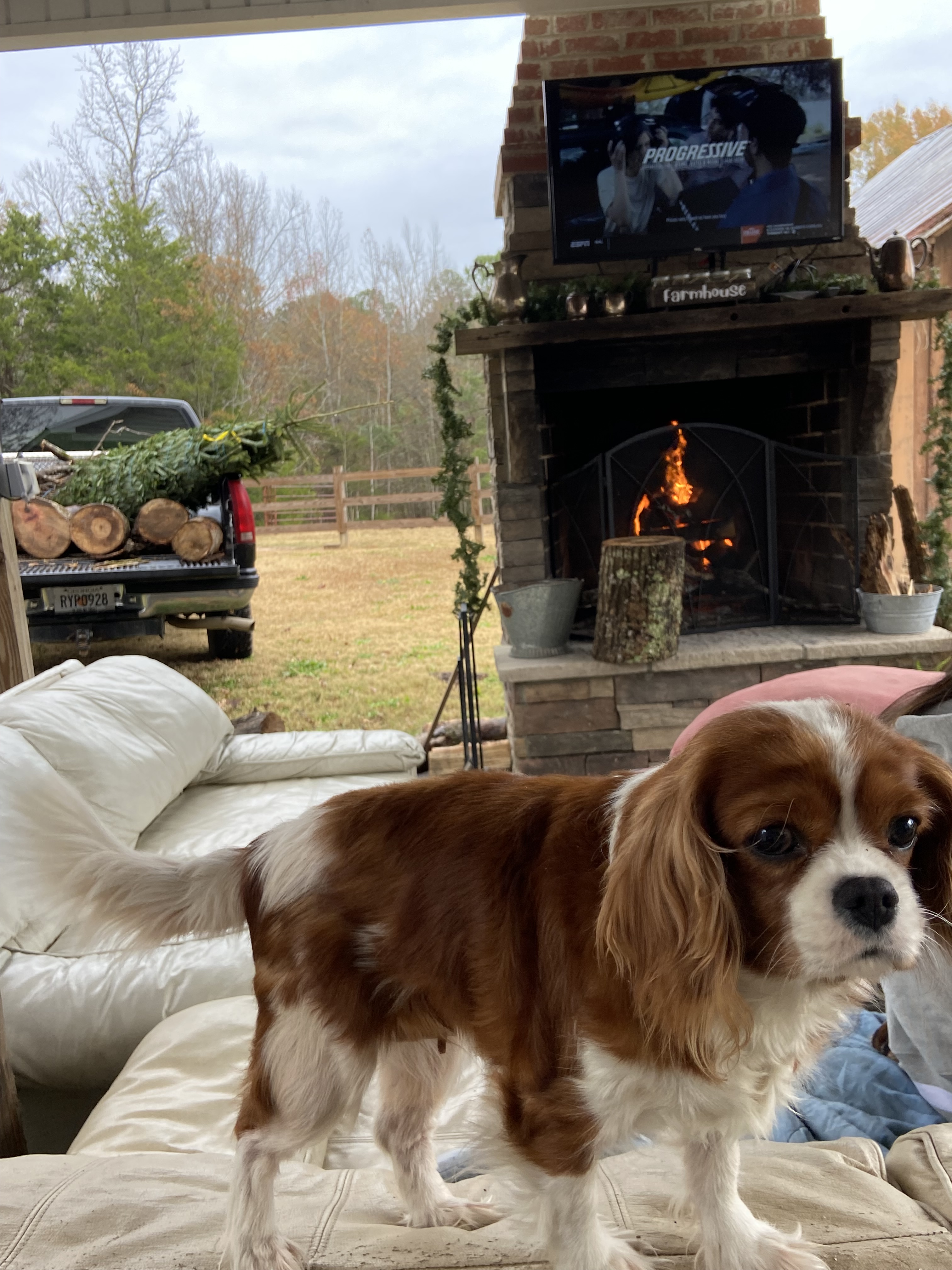 Gallery Page: Huntland cavaliers – Huntland Cavaliers home page